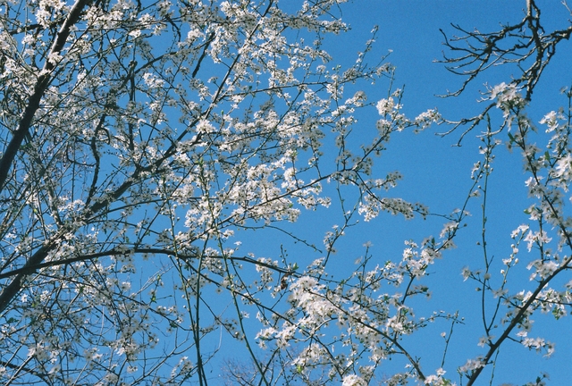 Homepage - Amaury Micheli